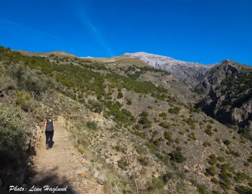 The ultimate guide to hiking El Saltillo: Malaga's rising star!